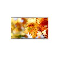 China EV238FHM-N12 23.8 inch 1920*1080 LCD Screen Monitor for sale