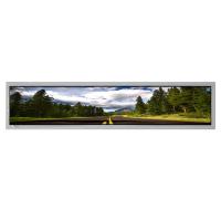 China 1920*440 10.2 inch GV101F6Q-N10-1QP0  LCD Screen FOR Home Appliance for sale