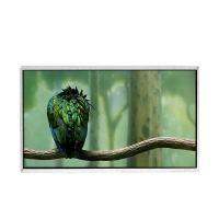 China 1366*768 HB140WX1-100 14.0 inch LVDS 60Hz LCD Screen FOR BOE for sale