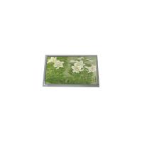 China original LQ133M1JW42 13.3 inch LCD Panel for Laptop for sale