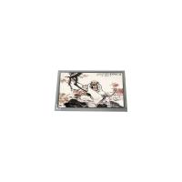 China LQ133M1JW48 13.3 inch eDP 30 pins WLED TFT LCD Screen for sale
