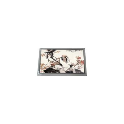 China LQ133M1JW48 13.3 inch eDP 30 pins WLED TFT LCD Screen for sale