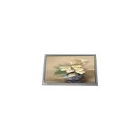 China Original LQ133M1JX56 13.3 inch 1500 : 1 TFT-LCD Display for sale