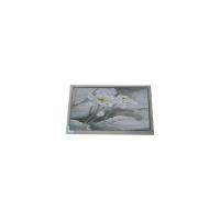 China LQ133T1JW21 13.3 inch 1000:1 LCD Screen for Laptop for sale