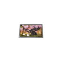 China LQ133X1LH07 13.3 inch 262K LCD Panel TFT-LCD Module for sale
