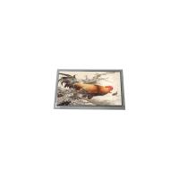 China 1024*768 LQ133X1TS70 13.3 inch 262K 210 cd/m2 LCD Screen for sale