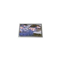 China 13.3 inch LQ133X1TS701 LCD Screen Panel for Laptop for sale