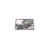 China 1920*1080 14.0 inch LQ140M1JW55 1500:1 TFT-LCD Screen for Laptop for sale