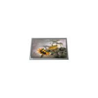 China Original LQ141X1LH42 LCD Screen LVDS LCD Panel for sale