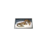 China 1024*768 14.1 inch LQ141X1LH43W TFT LCD Display Panel for sale