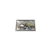 China LQ150F1LH11 15.0 inch 1400*1050 LCD Display Panel for sale