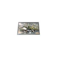 China 15.0 inch LQ150P1JX51 60 pins TFT LCD Screen for Laptop for sale