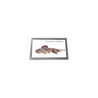 China 1600*1200 LQ150U1LG01 15.0 inch LVDS LCD Screen for Desktop Monitor for sale