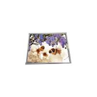 China Original LQ150X1BE1 1024*768 15.0 inch TFT-LCD Screen for sale