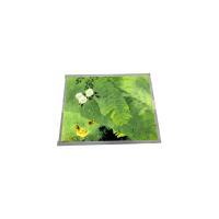 China LQ150X1DR55 15.0 inch 1024*768 330 cd/m2 LCD Screen Panel for sale