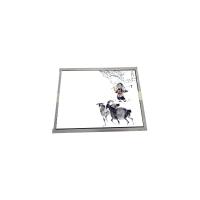 China Original 1024*768 LQ150X1LAOA 15.0 inch LCD Sccreen for sale