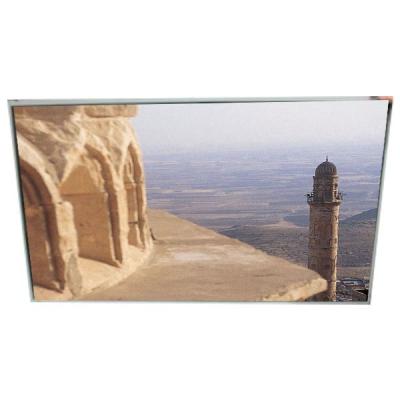 China LD650DUF-FGB1 65.0 inch FHD 16.7M LCD Panel Module for sale