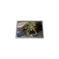 China LQ315D1LG9D 32.0 inch WLED LCD Screen Panel FOR Desktop Monitor for sale