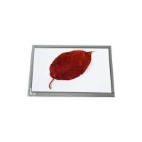 China 1440*2560 5.5 inch LS0DZC0174 1300:1 LCD Panel Screen for Mobile Phone for sale