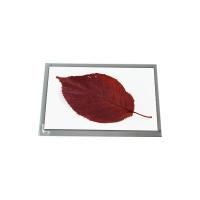 China NEW LS0ZDC0172 5.0 inch 1080*1920 80%NTSC LCD Screen for sale