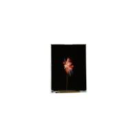 China Original LS013B7DD02 1.29 inch 260*260 LCD Screen FOR Wearable for sale