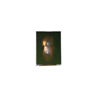 China LS015A8GS01 1.5 inch 560*240 200 cd/m2 LCD Screen for Digital Still Camera for sale