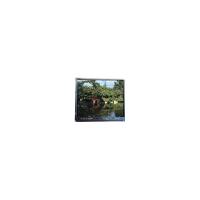 China New HSD110HUW1-C00-N00  11.0 inch 1200*2000 LCD Panel Screen Display for sale