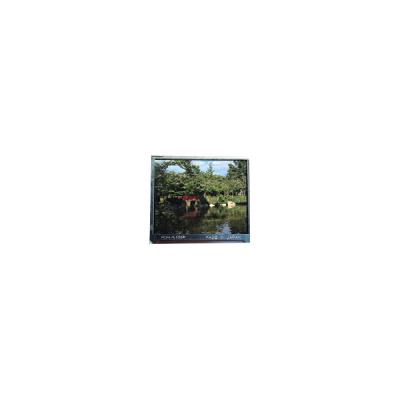 China New HSD110HUW1-C00-N00  11.0 inch 1200*2000 LCD Panel Screen Display for sale