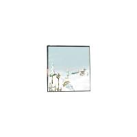 China LH500WF2-SH01 5.0 inch LTPS TFT-LCD Screen Display for sale