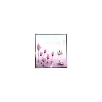 China LH500WF4-SH01 5.0 inch 1500 : 1  LCD Screen Display for sale