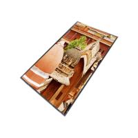China LH550M01-SH02 5.5 inch 60Hz LCD Panel Screen for sale