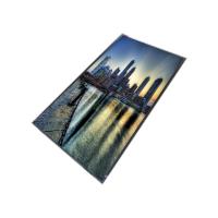 China LH550WX1-SH05 5.5 inch 7.62g LCD Panel Screen for sale
