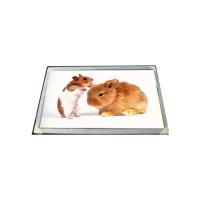 China LM170E03-TLG6 17.0 inch 16.7M LCD Panel Module for sale