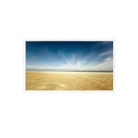 China 800*1280 10.1 inch TV101WXM-NM0 500 cd/m2 LCD Panel for Pad Tablet for sale
