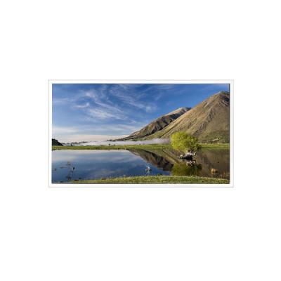 China TPA050-001 640*480 5.0 inch 262K 68%NTSC LCD Screen for Industrial for sale