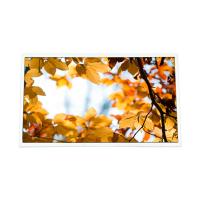 China LS800JT6001 8.0 inch 800*600 262K 60%NTSC LCD Screen FOR Gaming for sale