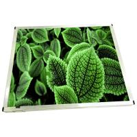 China R213TFE-L53 LCD Screen Panel 21.3 Inch LCD Display Module for sale