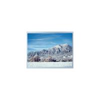 China G101SAN01.2 1024*600 10.1 inch 1000 : 1 60Hz LCD Screen Panel Monitor for sale