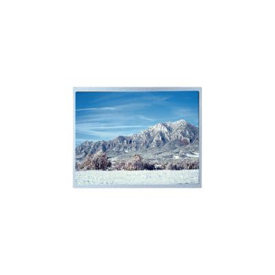 China G101SAN01.2 1024*600 10.1 inch 1000 : 1 60Hz LCD Screen Panel Monitor for sale