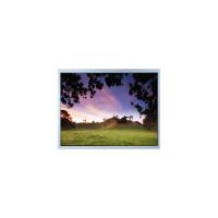 China 12.1 inch 1280*800 G121EAT01.0 Touch 60Hz LCD Screen Display for sale