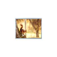 China 14.0 inch 1920*1080 G140HAB01.1 Touch eDP LCD Screen Monitor for sale