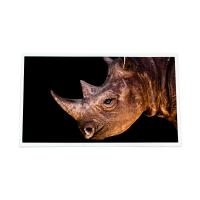 China Original 17.3 inch 1920*1080 G173HW01 V0 CELL LCD Screen Panel for sale