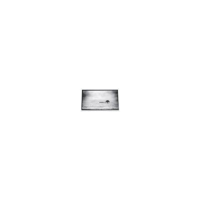China 640*480 3.5 inch PD035VX1 262K LCD Screen for Projector for sale