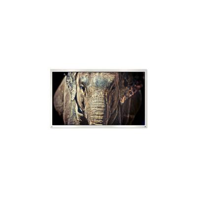 China PE040QX1 MiNi 4.0 inch 320*240 1000:1 30 pins LCD Screen Panel for sale