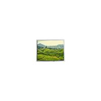 China NEW 800*480 7.0 inch PM070WX9 60 pins LCD Screen for E Ink for sale
