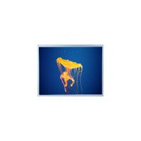China 480*220 PW080XU3 8.0 inch 3S9P WLED 400 : 1 LCD Screen Monitor for sale