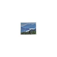 China AM480234G1TMCW-00 7.0 inch 480*234  LCD Screen for Portable DVD Player for sale