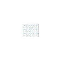 China 800*480 AM-800480L6TMQW-01H 5.0 inch 44 pins 16.7M LCD Screen Panel for sale