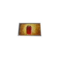 China Hot Sell 7.0 inch 800*480 AM-800480R3MZQW-A1H 262K TFT-LCD Screen Parts for sale