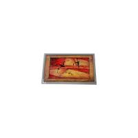 China AM-800480R3TMQW-A1H 7.0 inch 800*480 400:1 262K TFT-LCD Screen Monitor for sale